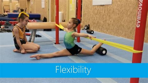Flexibility Gymnastics Flexibility Gymnastics Videos Gymnastics Lessons