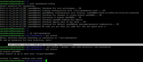 Openhabian Config Shows Openhab3 But I Run Oh4 Migration Openhab Community