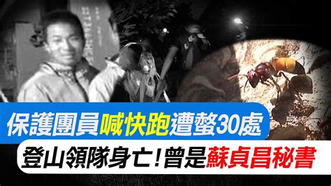 每日必看虎頭蜂圍攻 登山團領隊保護團員 喊快跑 慘遭螫至少 傷 送醫後身亡 YouTube