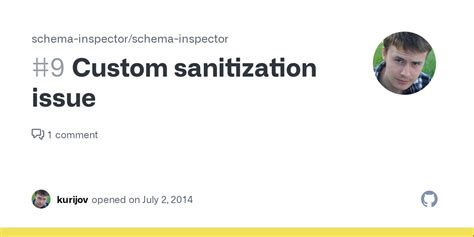 Custom Sanitization Issue · Issue 9 · Schema Inspectorschema Inspector · Github