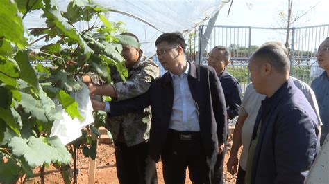 祁阳陈小平调研督导巩固拓展脱贫攻坚成果同乡村振兴有效衔接及耕地保护工作 群众