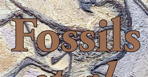 Fossils Et Al