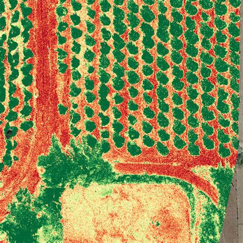 Webodm Drone Software Opendronemap™