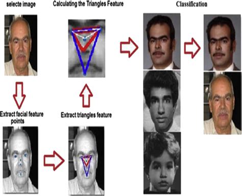 Figure 1 From Age Invariant Face Recognition Using Trigonometric