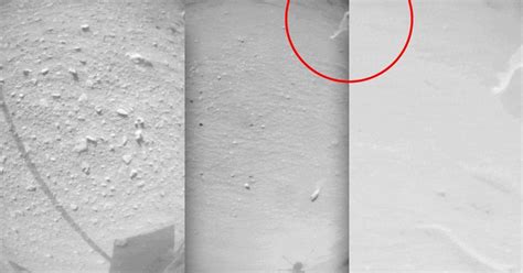Nasa Says Foreign Object Debris Briefly Stuck To Its Mars Helicopter