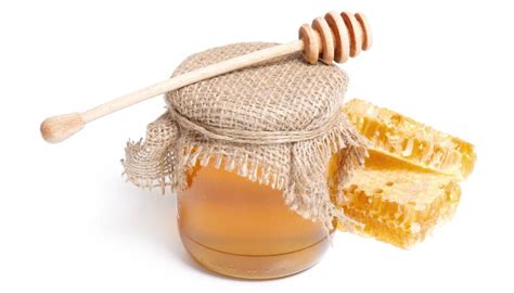 Amoxicillin Alternative Herb Natural Antibiotic Treatment 2025