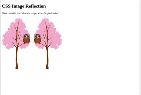Css Image Reflections Adding A Touch Of Glamour To Your Visuals By Muhammad Hassan Stackademic