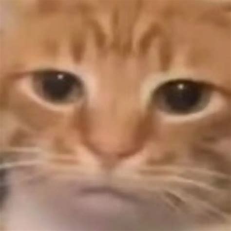 4k你的名字动态壁纸｜流星背景视频 少年眺望「哲风壁纸」