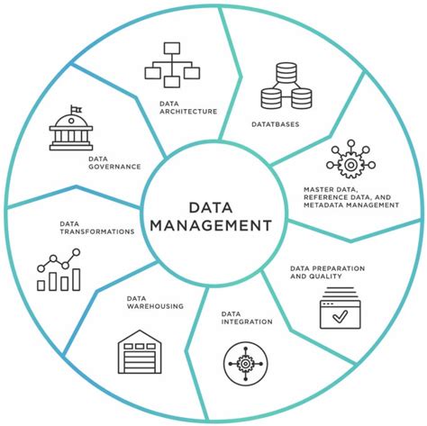 Create And Enforce Policies For Effective Data Management Formulate Techniques By Sabbes06 Fiverr