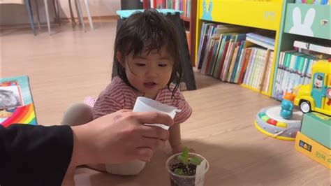 D611 해바라기가 이만큼 자랐어요~20개월아기 Youtube