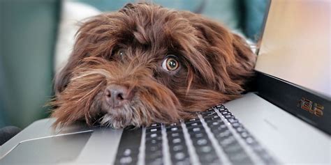 How To Detect Keyloggers In Windows Systems Make Tech Easier