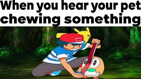 Best Pokemon Memes