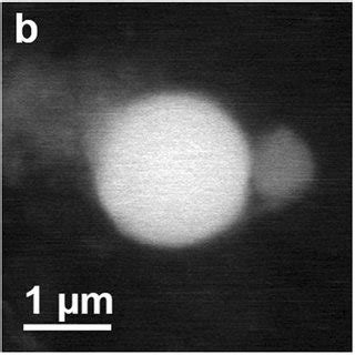 Morphologies Of CsP Before And After Heating SE A And BSE B Download Scientific Diagram