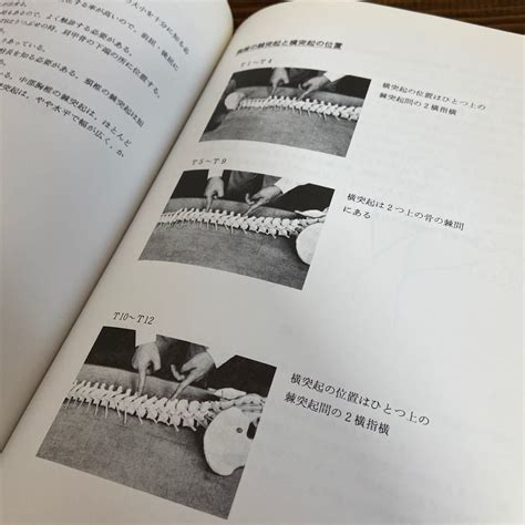 Yahoo オークション カイロプラクティック 基本テクニック ディバー