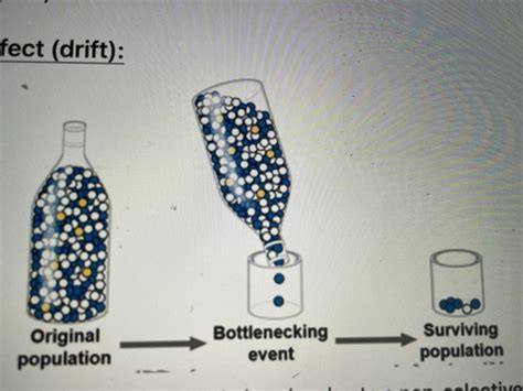 Bits And Bobs Flashcards Quizlet