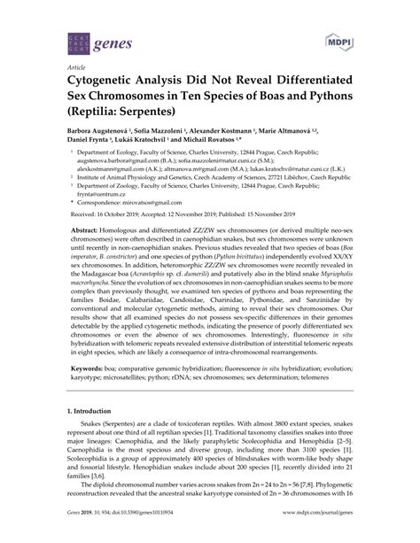 Pdf Cytogenetic Analysis Did Not Reveal Differentiated Sex Chromosomes In Ten Species Of Boas