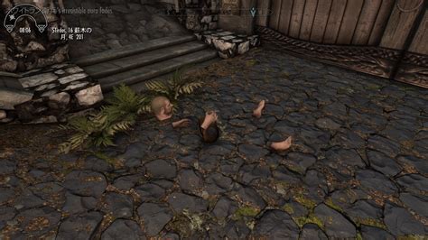 SOS Does Not Work Technical Support Skyrim Special Edition LoversLab