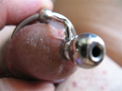 More Steel In Cock With Glans Rings 430 Pics Xhamster