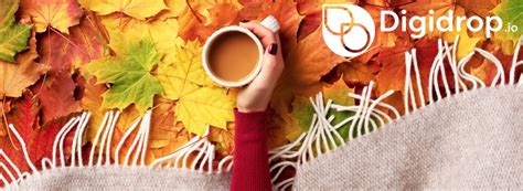 Digidrop On Linkedin Drupal Reactjs Nextjs