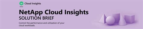netapp cloud insights wordtext systems inc