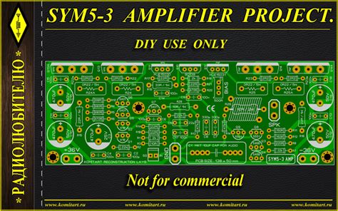 Diy Sym5 3 Amplifier Project Version 1 With Komitart Lay6