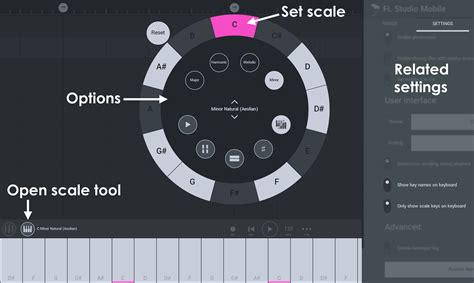 Fl Studio Key Mapping Scale Aslouv Fl Studio Key Mapping Scale Aslouv