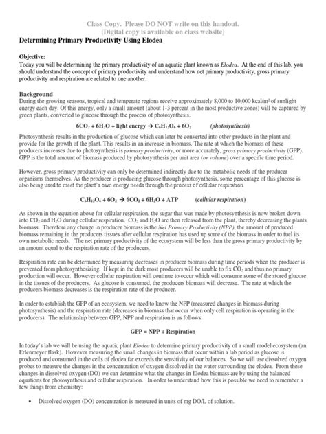 Npp Lab Elodea Pdf Primary Production Glucose