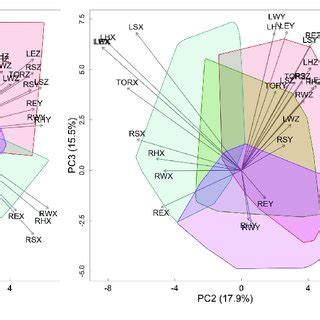 Eigenvectors In Gray Show How Strongly Each Variable Influences The Download Scientific
