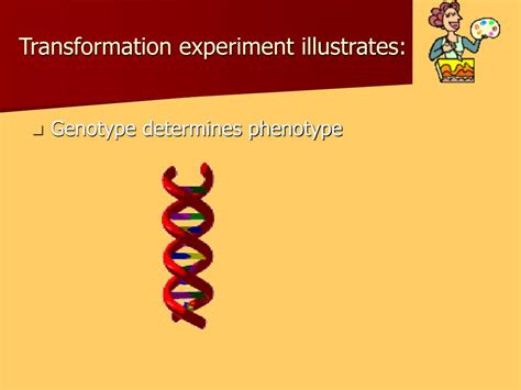 Ppt Laboratory Bacterial Transformation Powerpoint Presentation