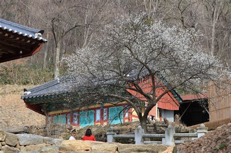 잘 늙은 절 화암사