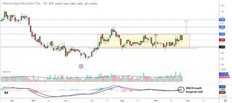 Analisis Saham Dsng