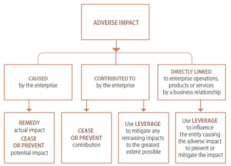 Gender Responsive Due Diligence