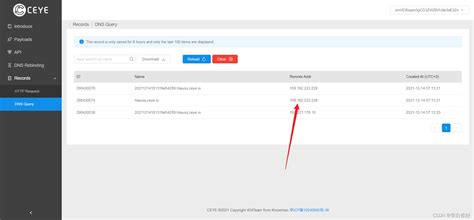 Log4j 远程代码执行漏洞检测fofa搜索log4j漏洞 Csdn博客