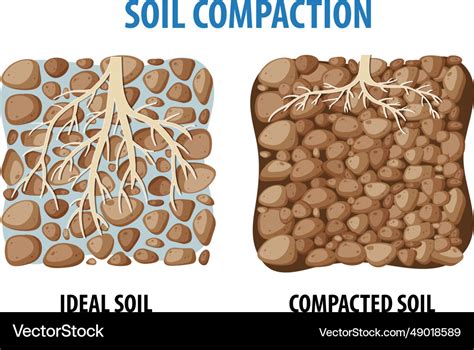 Soil Compaction Density Comparison Royalty Free Vector Vectorstock