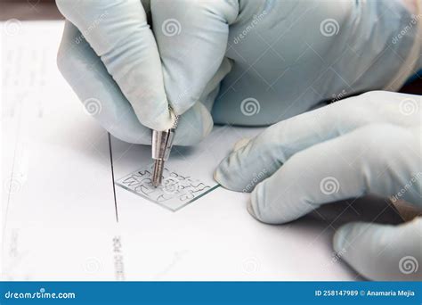 Laboratorian Labelling A Microscope Slide Using A Diamond Tip Pencil Laboratorian Giving