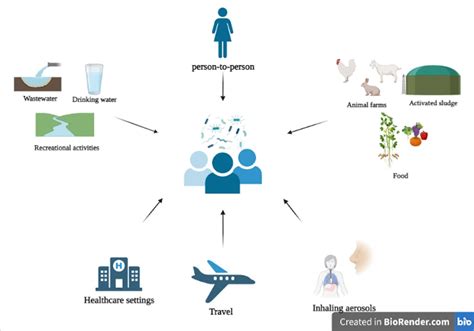 Gutter To Gut How Antimicrobial Resistant Microbes