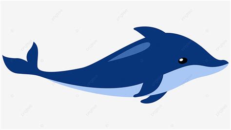 귀여운 얼굴과 파란색을 가진 돌고래 돌고래 물고기 대양 PNG 일러스트 및 벡터 에 대한 무료 다운로드 Pngtree