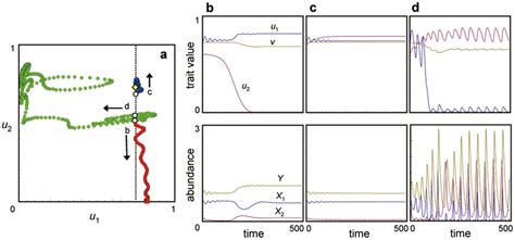 Three Species Coevolutionary Dynamics After The Invasion Of Prey Download Scientific Diagram
