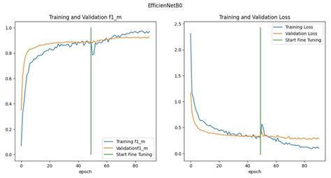Feature Vector And Fine Tuning Loss Curves Download Scientific Diagram