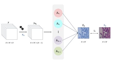 S3r Self Supervised Spectral Regression For Hyperspectral