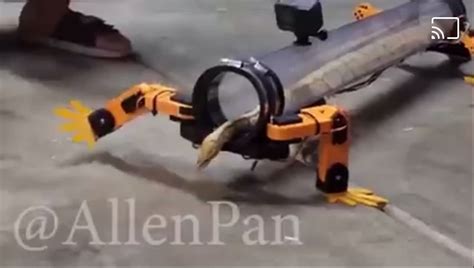 The Best Python Based Robot Ever 😅 Inodigitalsig