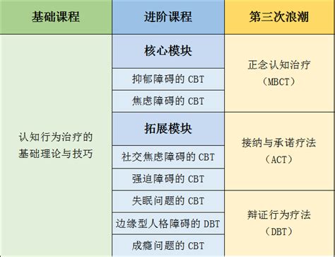 普及计划：认知行为治疗入门120讲 理论案例演练和讲评 壹心理学堂