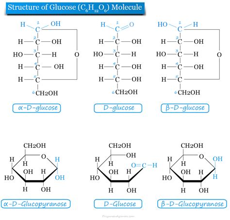 Structural Formula Of Glucose And Fructose