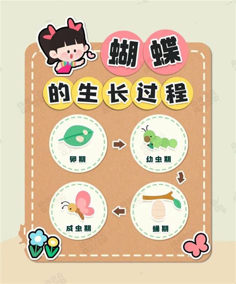 蝴蝶的生长过程简笔画讲解（精选16张） 简笔画图片大全