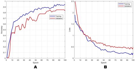Block Based Compressive Sensing In Deep Learning Using Alexnet For Vegetable Classification Peerj