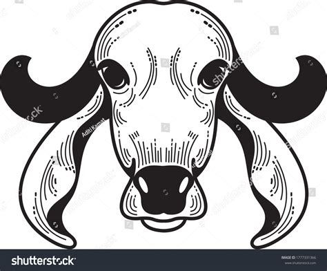 Indian Gir Cow Over 3 Royalty Free Licensable Stock Vectors And Vector