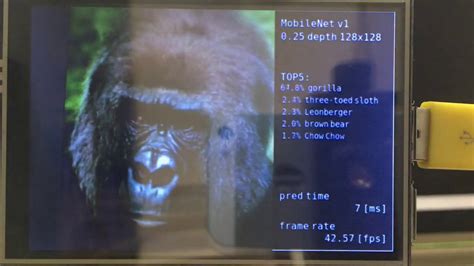 Image Classification Working On Raspberry Pi With Various Mobilenet