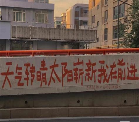 stata代码集合 txt转为dta文件 知乎