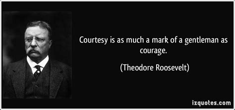 Theodore Roosevelt Quotes On Courage Quotesgram