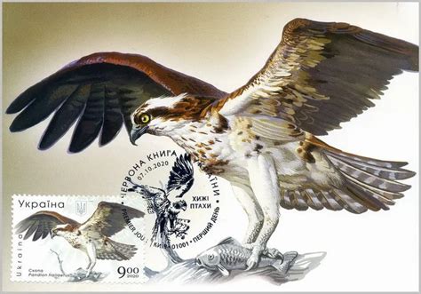 Пин от пользователя Markus Müller на доске Postage Ukraine | Почтовые ...